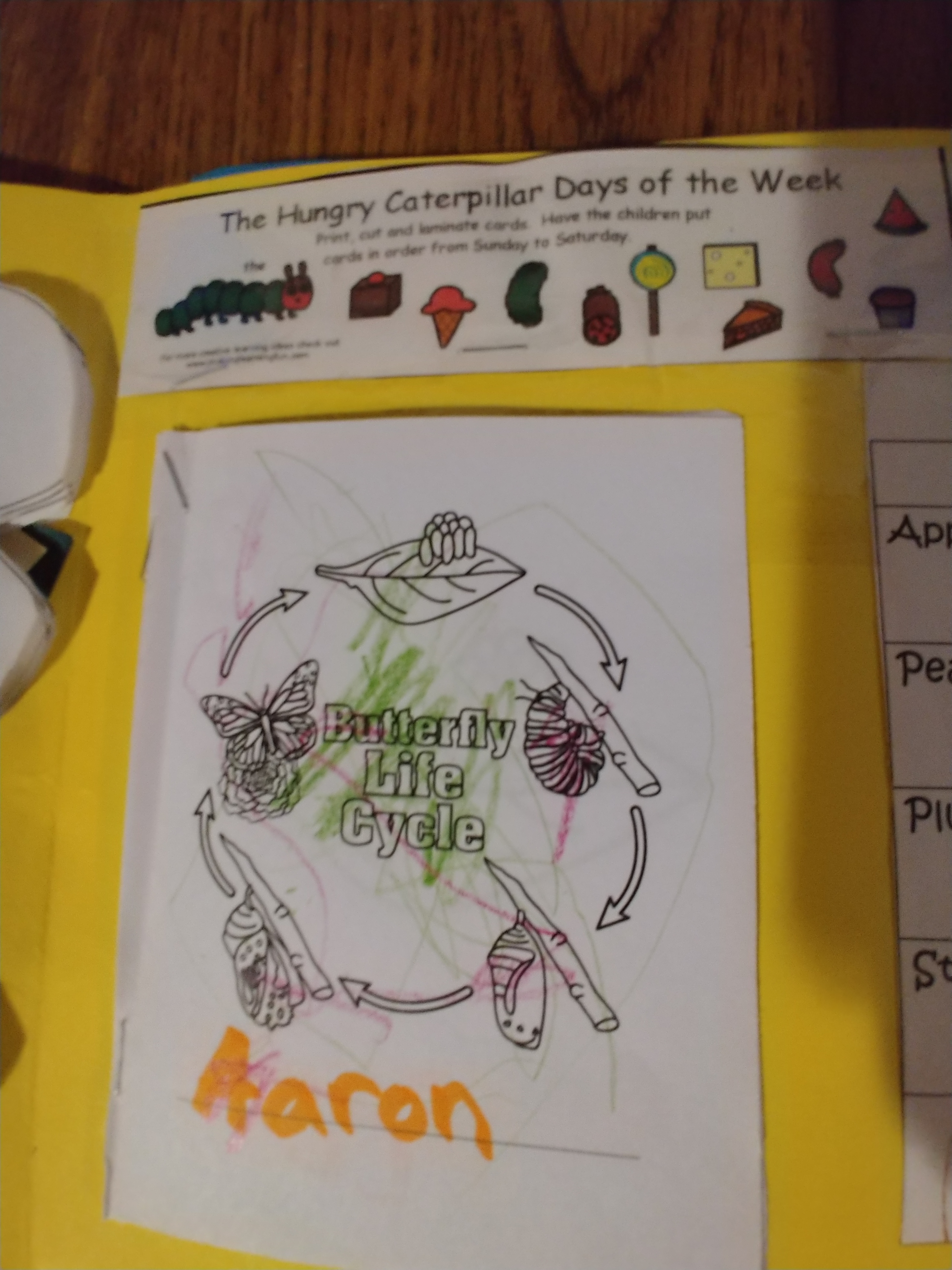 The Hungry Caterpillar by Eric Carle – Little Steps